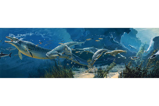 Baleen Whale | Q?rius