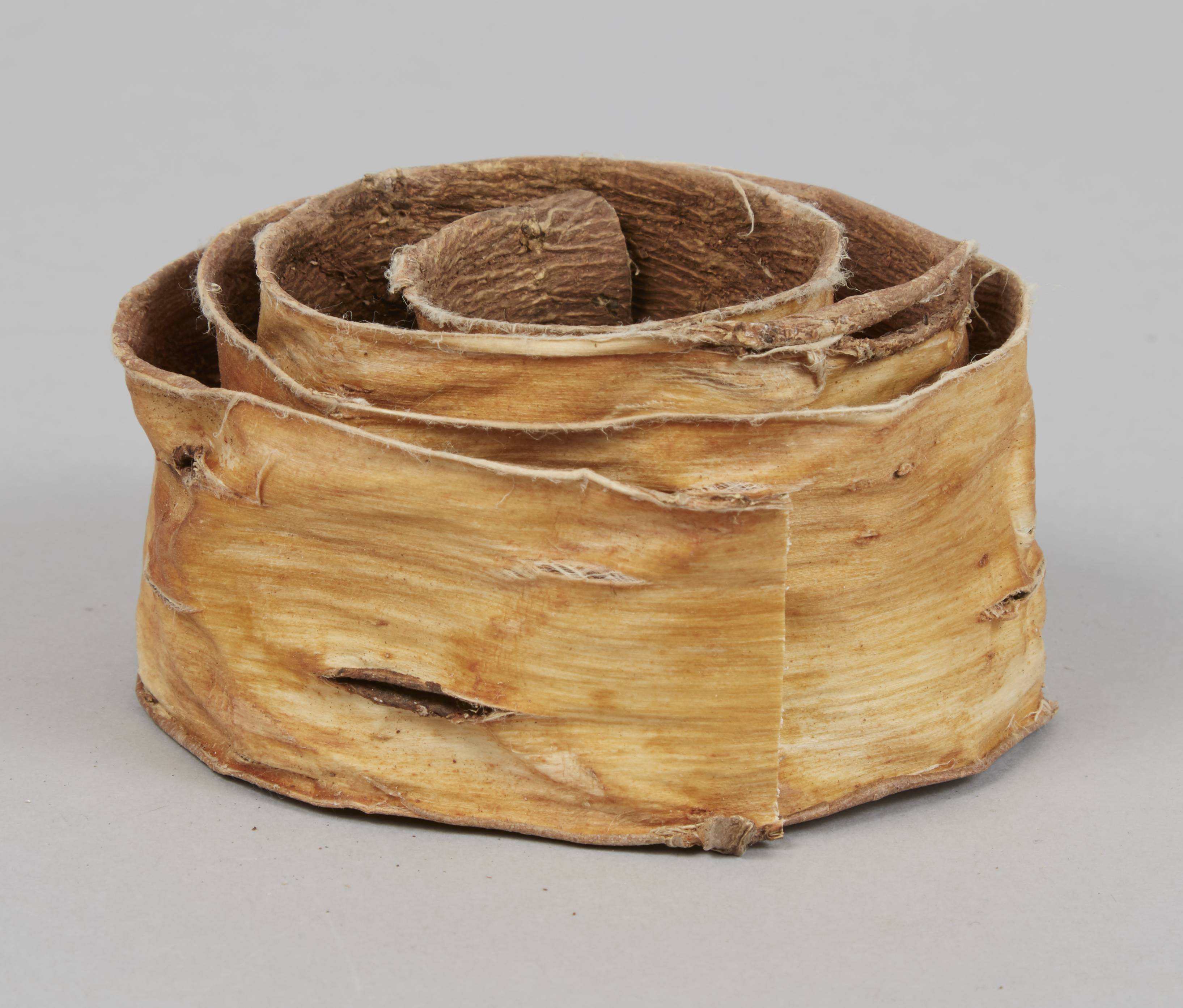 Strip of Paper Mulberry Bast | Smithsonian Institution