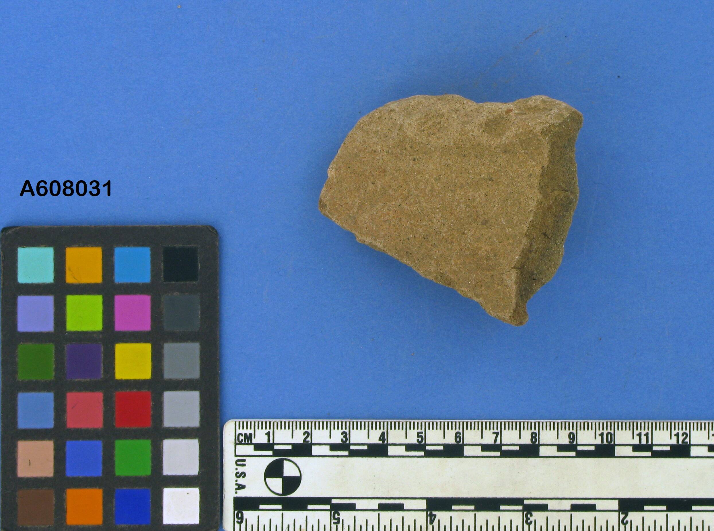 Pottery rim sherd | Smithsonian Institution