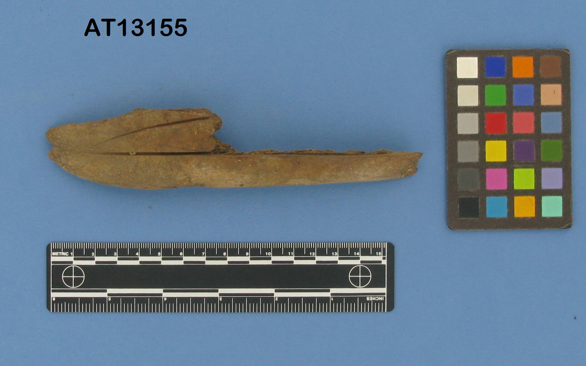 Artifact | Smithsonian Institution